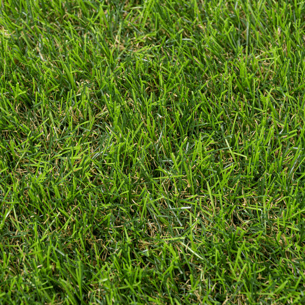 Stamford 40mm Artificial Grass | Synthetic Turf | Grass247.co.uk